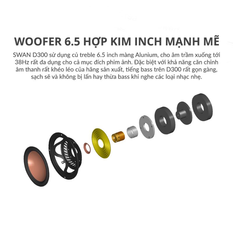 Loa HIVI SWAN D300 - HIVI SWAN Việt Nam