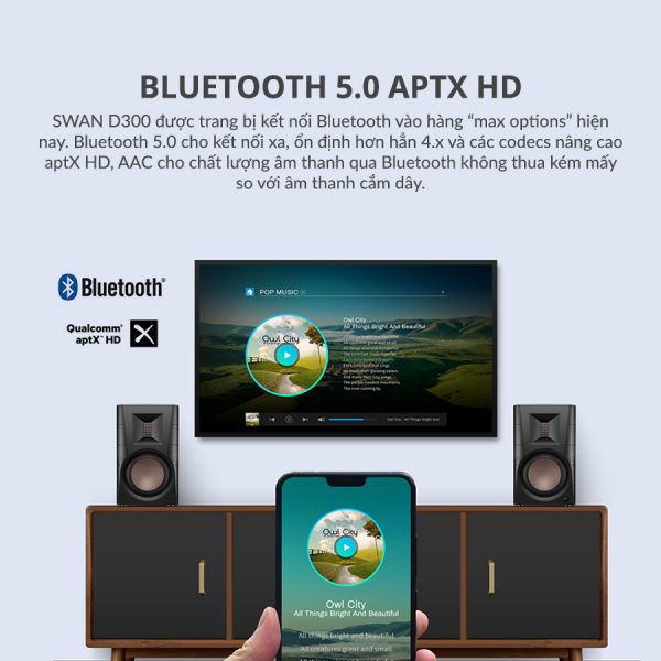 Loa HIVI SWAN D300 - HIVI SWAN Việt Nam